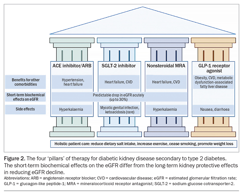 Diabetic kidney disease: the four pillars of therapy | Medicine Today
