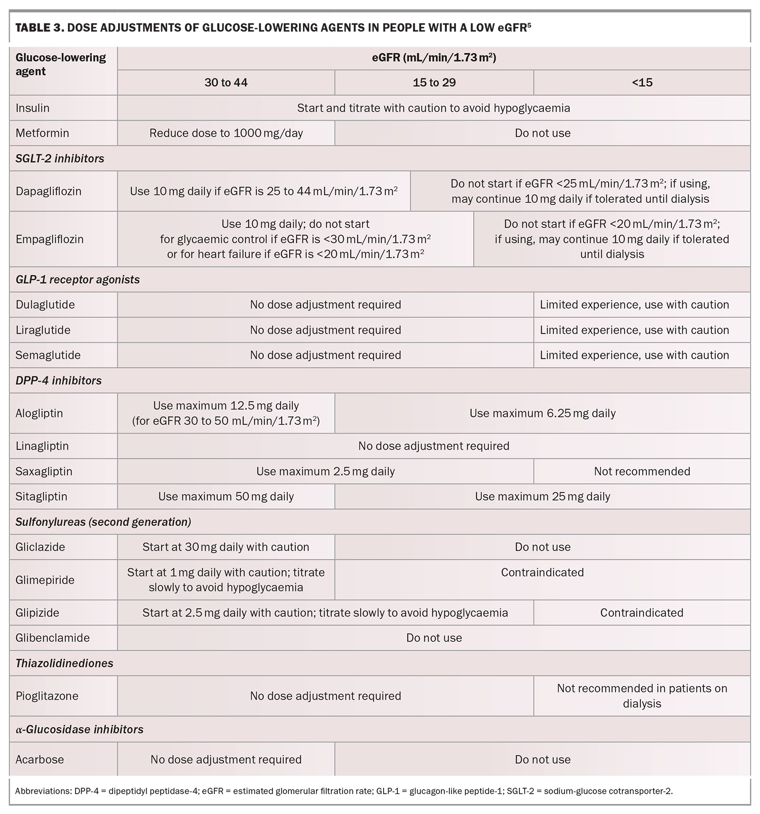 Preventing diabetic kidney disease progression – a 2025 update ...