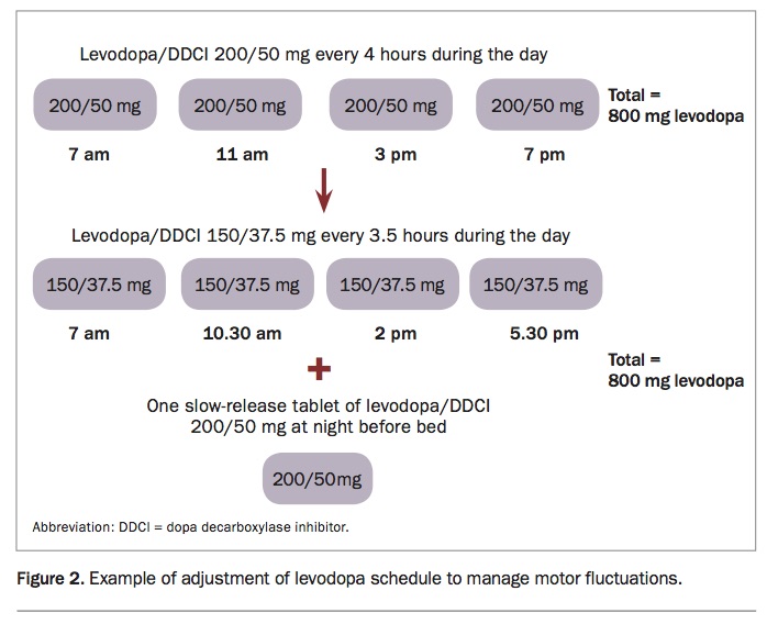 Advanced management of Parkinson’s disease – beyond the ‘shaking palsy ...