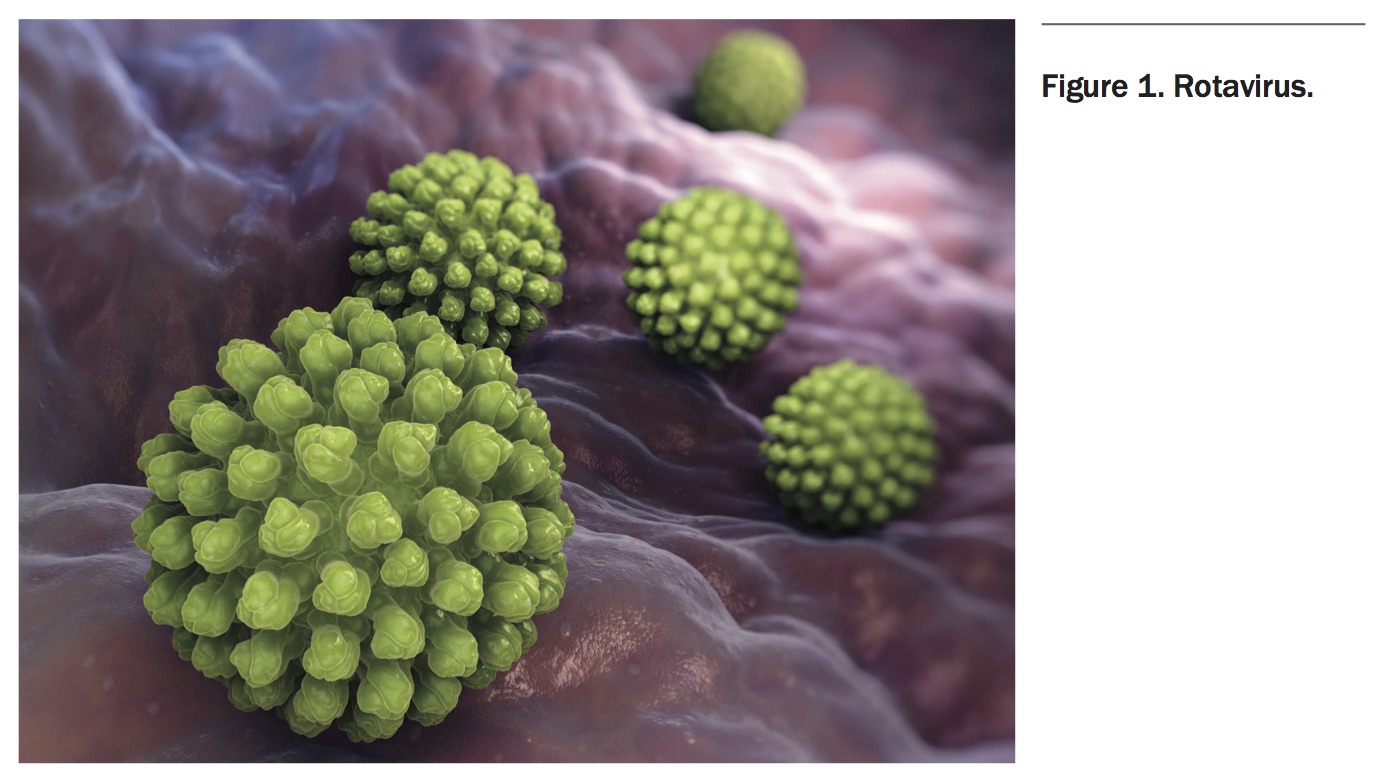 The changing face of investigating gut pathogens. Molecular testing ...