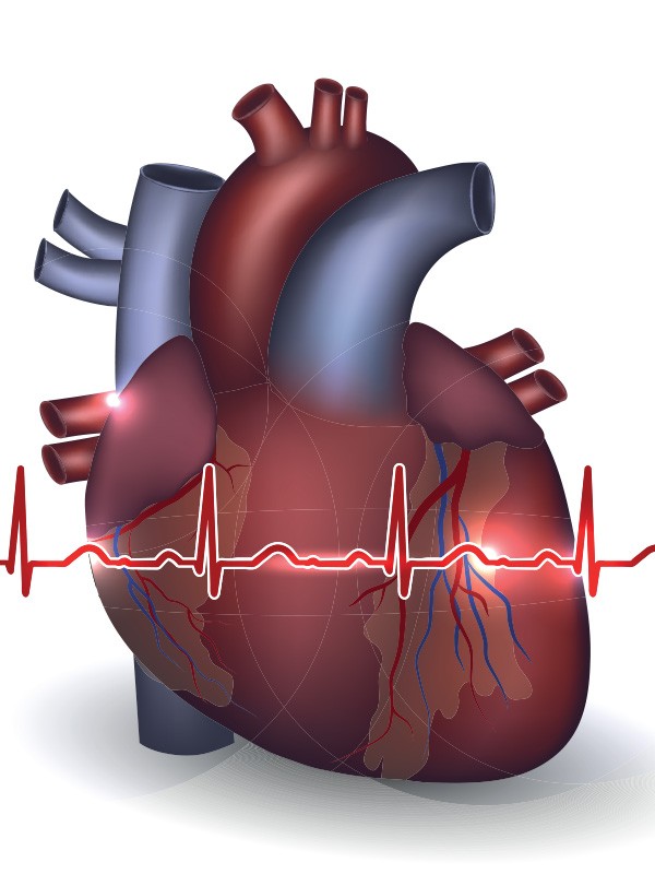Study supports cardiovascular safety of testosterone replacement ...